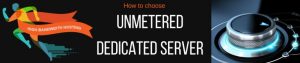Netherlands Unmetered Server – If You are Looking an Affordable, High ...
